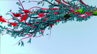 Premium 4K Video Clip, 4K Motion Graphics, Green Screen, Background ...