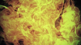 Special FX 4K Motion Graphics, 4K Motion Graphics, Green Screen ...
