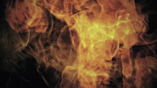 Special FX 4K Motion Graphics, 4K Motion Graphics, Green Screen ...
