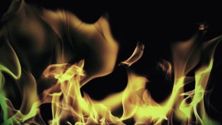 Special FX 4K Motion Graphics, 4K Motion Graphics, Green Screen ...